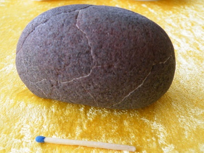 Hvad er det for en sten fundet på stranden - Naturbasen